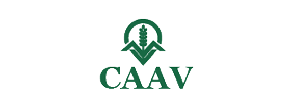 About us - Morgan & Davies - Estate Agents West Wales