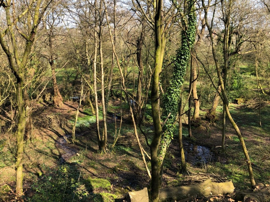 Our Environment - Radyr & Morganstown Community Council